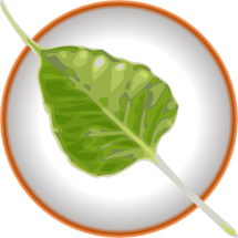 SOURCES.LIST » Rilasciato Bodhi Linux 2.0 alpha